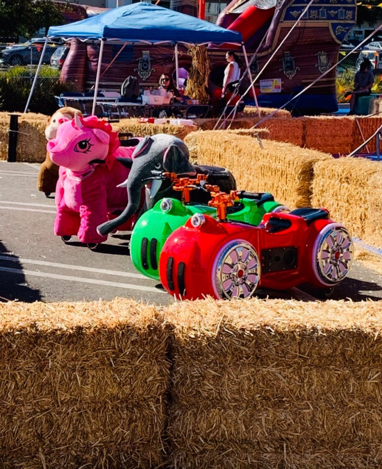 Exciting Mall Animal Rides for Family Fun - Giddy Up Rides Exciting ...